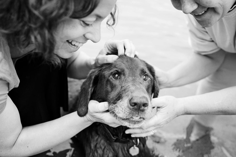 Our Values - 24 Hours Vet Emergency & Specialty Hospital - Singapore