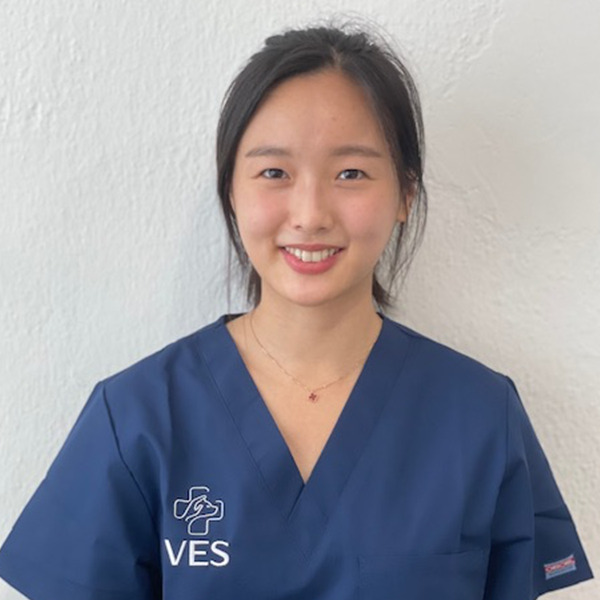 24 Hours Vet Emergency & Specialty Hospital - Singapore • 24 Hours ...